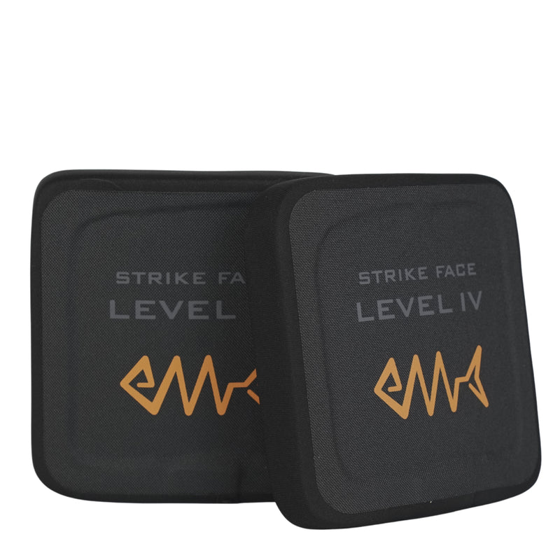 Side Hard Armor Plate - Level 4 - Set